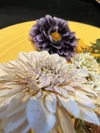 Studio Sprig