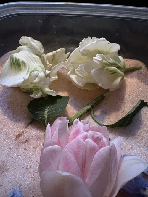 How to Preserve and Use Your Spring Flowers - All Year Long
