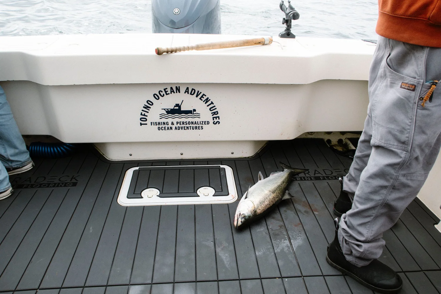 STUDIO ALEXANDER | ALEX BEEBE BRANDING AND ILLUSTRATION — Tofino Ocean ...