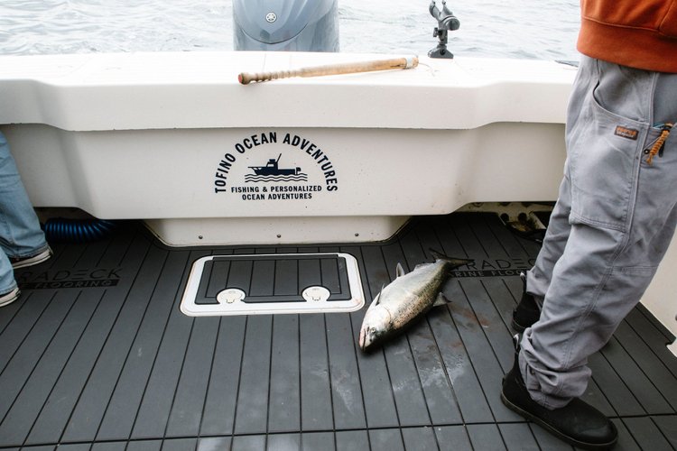 STUDIO ALEXANDER | ALEX BEEBE BRANDING AND ILLUSTRATION — Tofino Ocean ...
