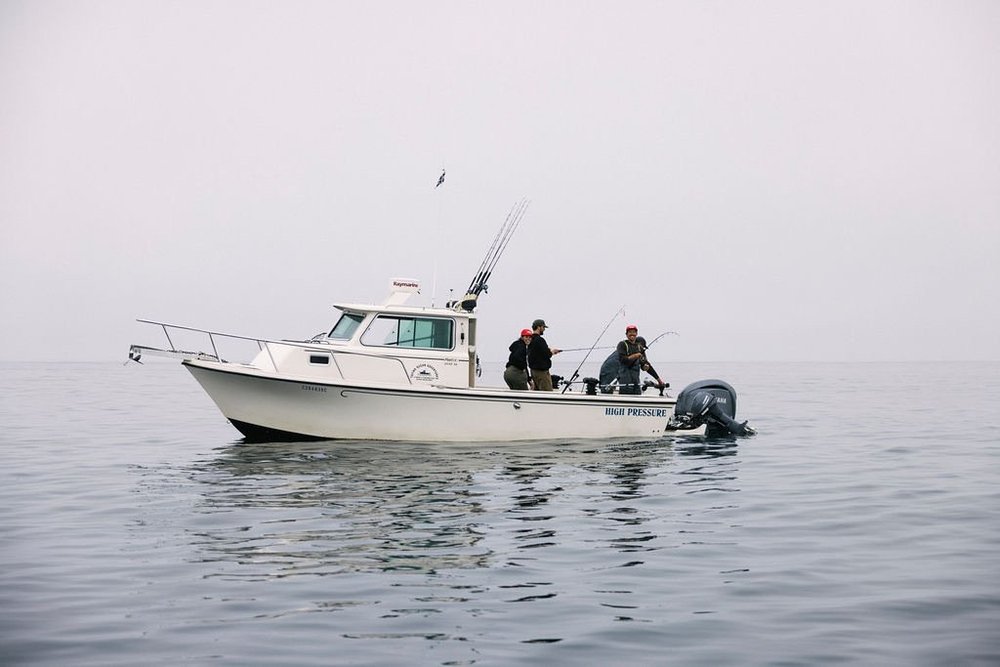 STUDIO ALEXANDER | ALEX BEEBE BRANDING AND ILLUSTRATION — Tofino Ocean ...