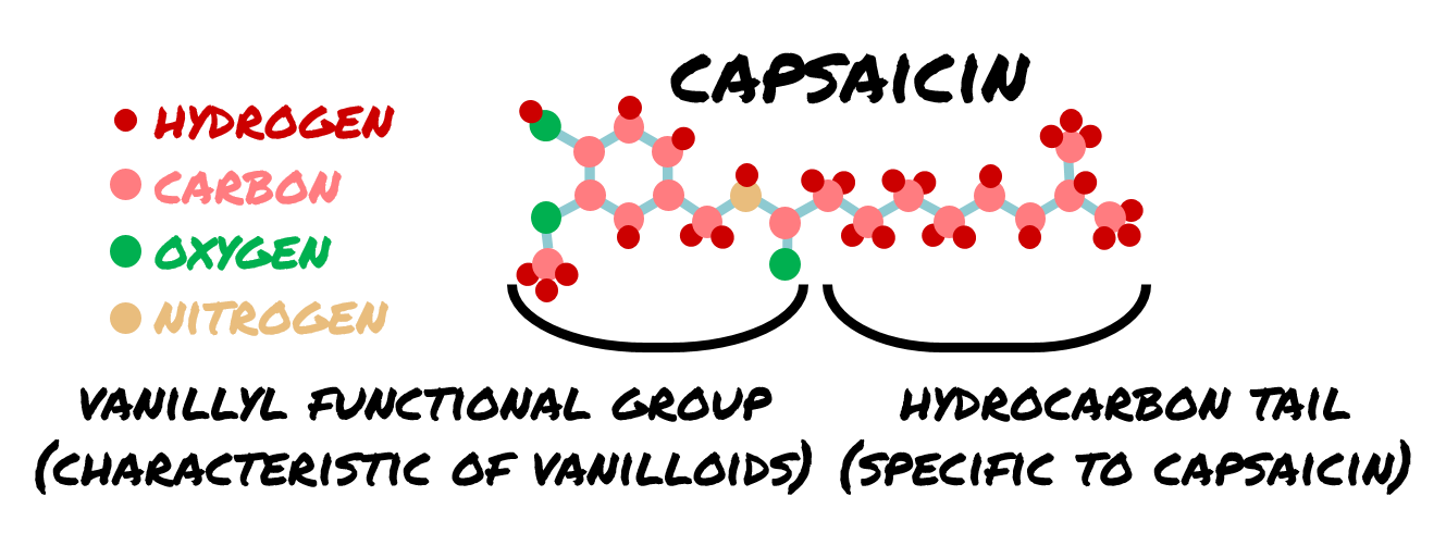 Feel the Burn (Don't Taste It) — New Mexicology