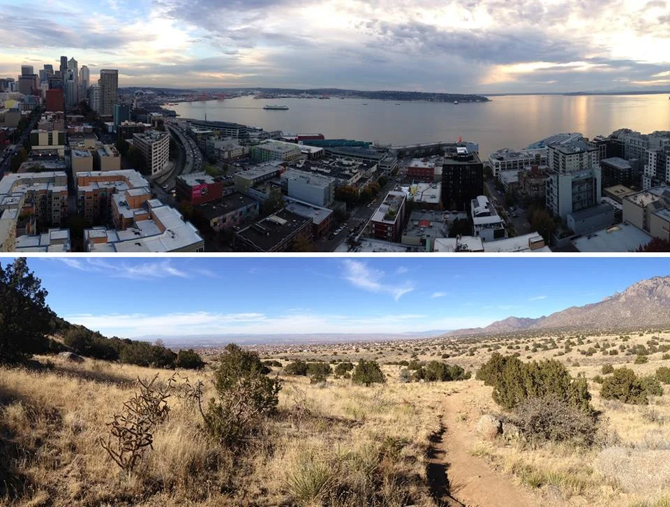 Nothing Gold Can Stay — New Mexicology