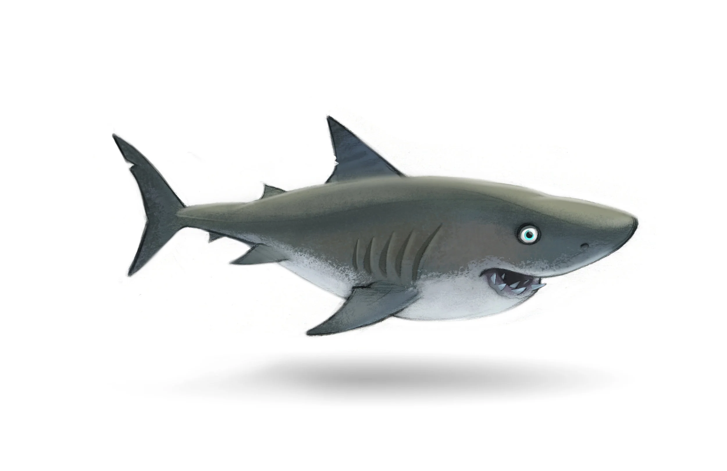 Splash & Bubbles — simon estrada