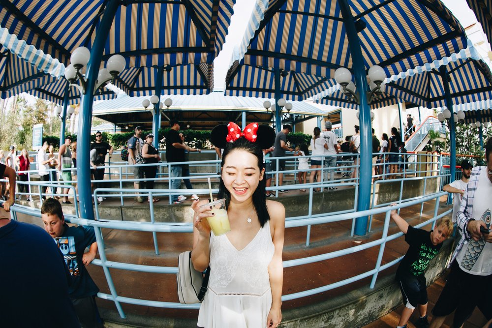 Disneyland Diary — MUSINGS OF LI CHI PAN