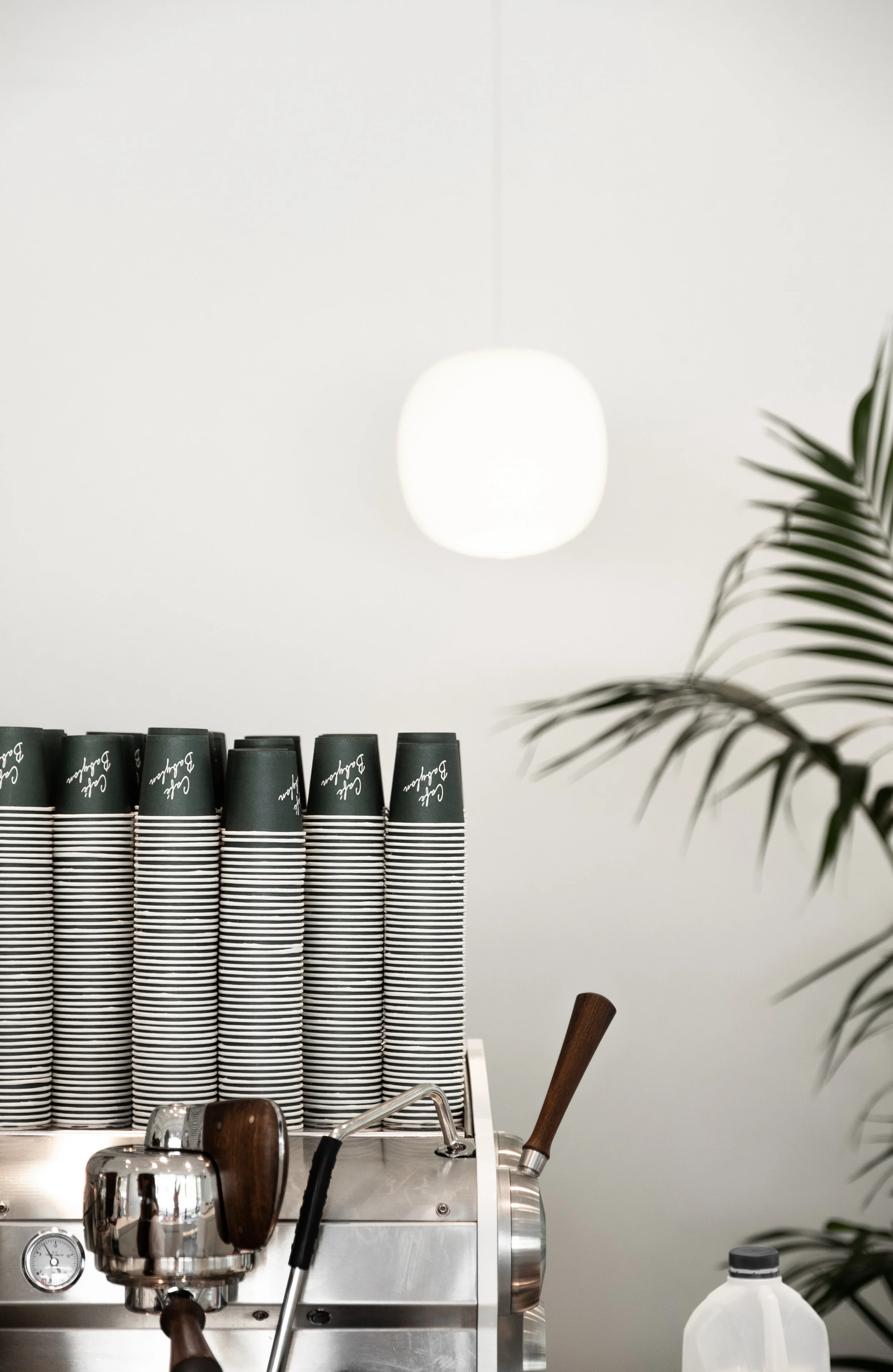 Cafe Babylon Sydney — MUSINGS OF LI CHI PAN