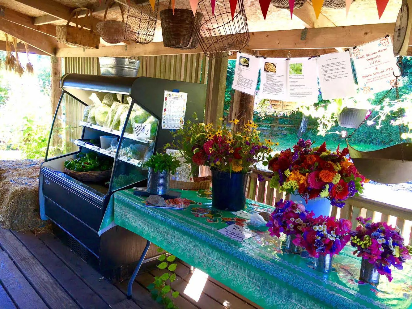 Full Bloom Farm Lummi Island Full Bloom Farm Lummi Island