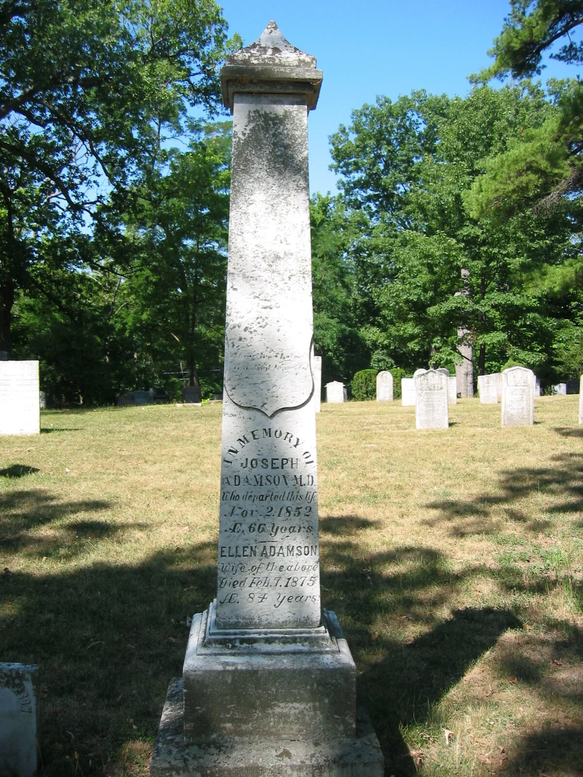 The history of Mississauga's first licensed doctor, Doctor Joseph ...