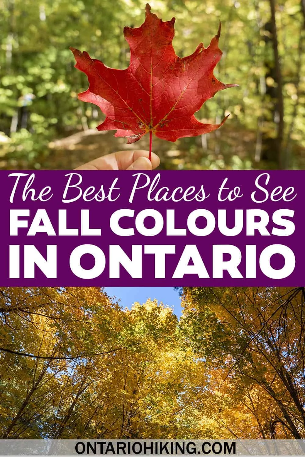 The 25 Best Places to See Fall Colours in Ontario — Modern Mississauga ...