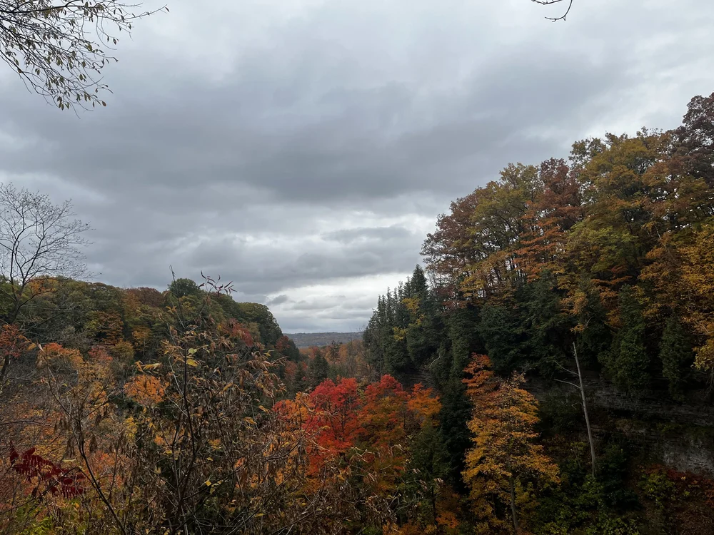Modern Travel - A day trip to Hamilton for waterfalls, fun and food ...