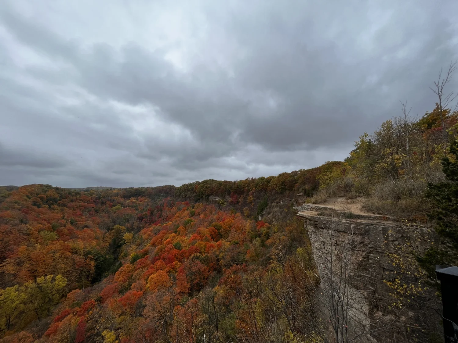 Modern Travel - A day trip to Hamilton for waterfalls, fun and food ...