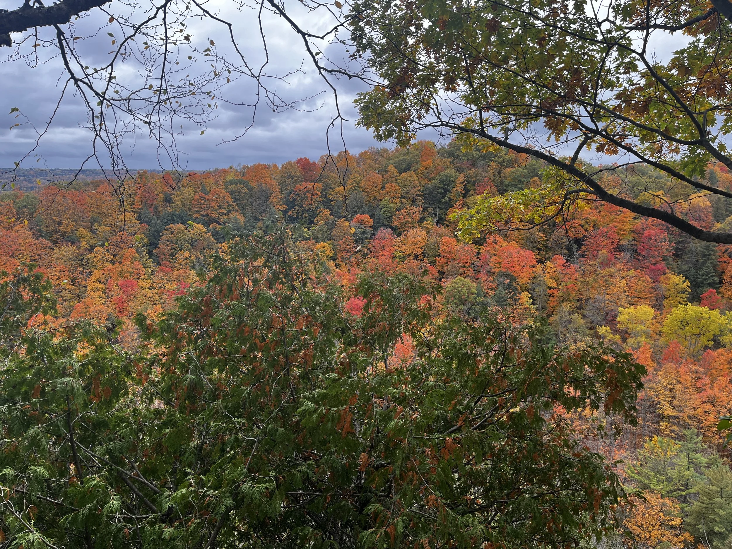 Modern Travel - A day trip to Hamilton for waterfalls, fun and food ...