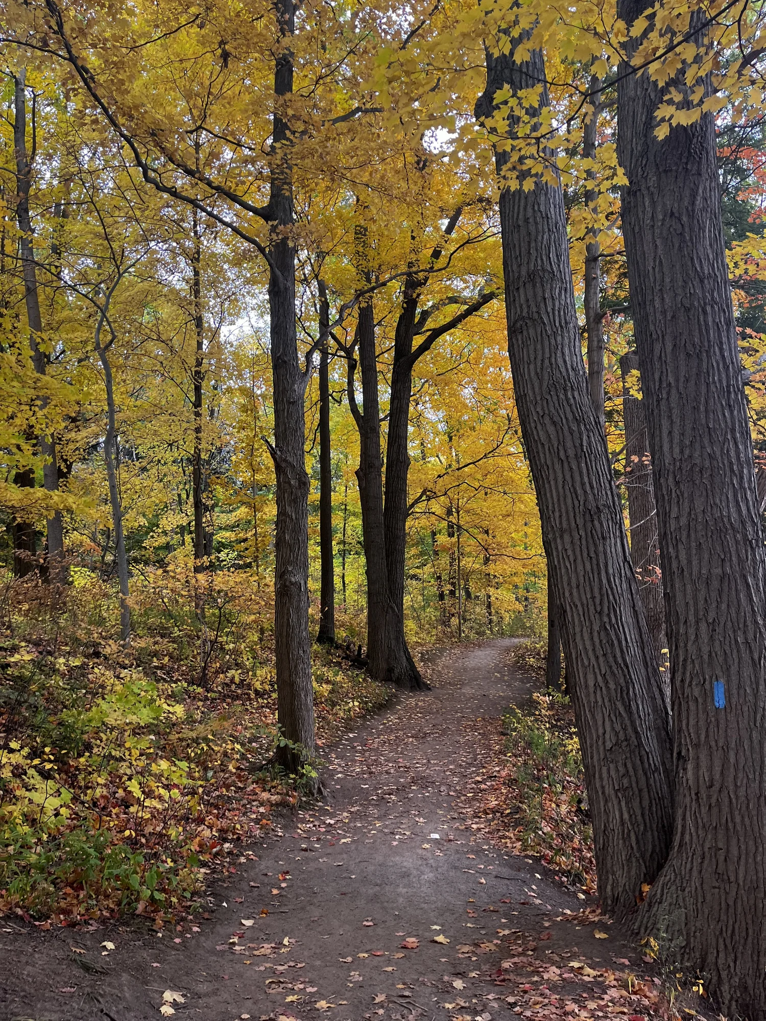 Modern Travel - A day trip to Hamilton for waterfalls, fun and food ...