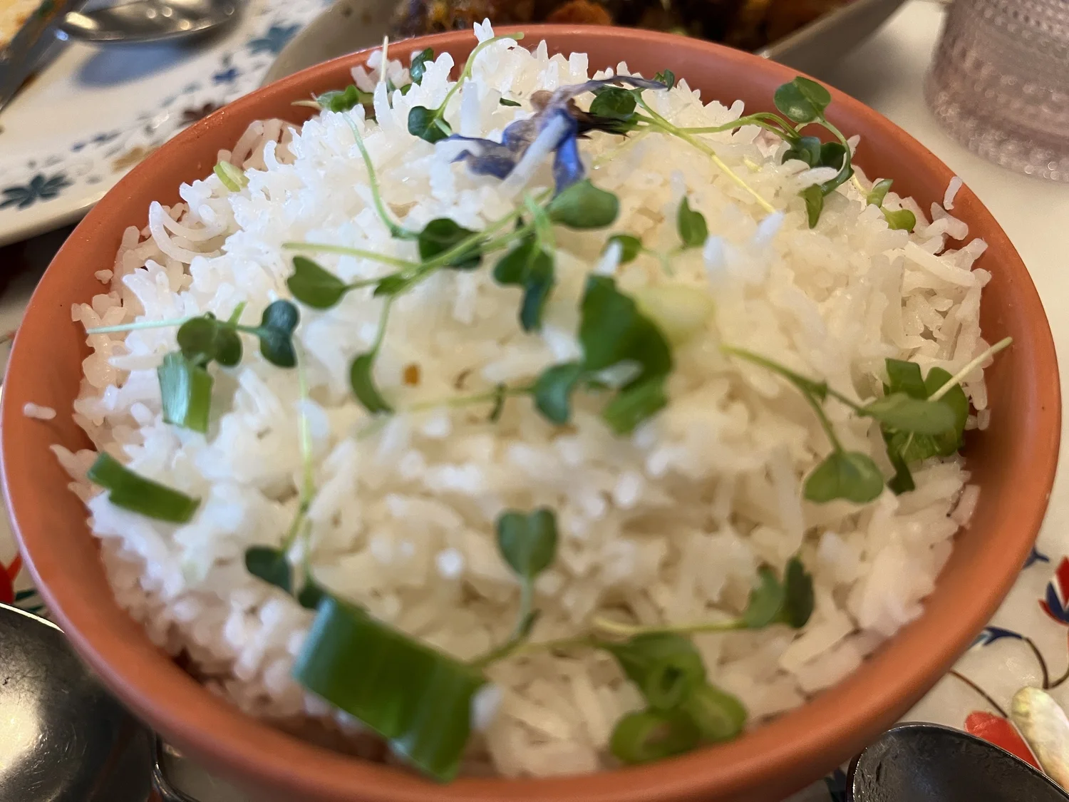 Modern Dining - Mishree Cocktails and Cuisine — Modern Mississauga Media