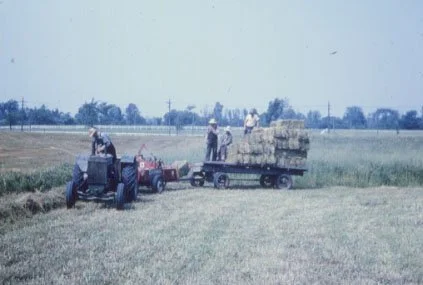 Starting from Square One: Remembering Mississauga’s Carr Farm — Modern ...