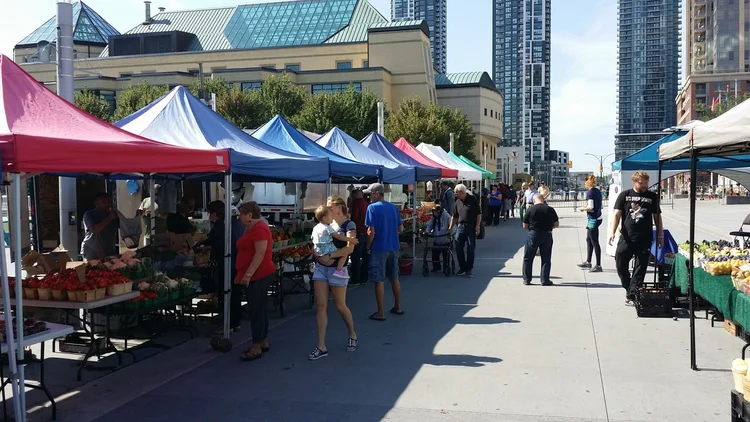 Here Are The 2023 Mississauga Farmers Markets — Modern Mississauga Media
