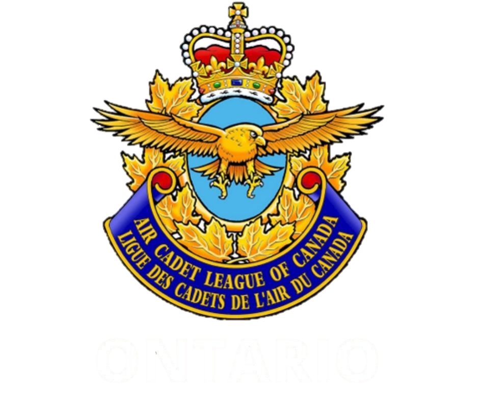 8 Great Volunteer Opportunities in Mississauga — Modern Mississauga Media