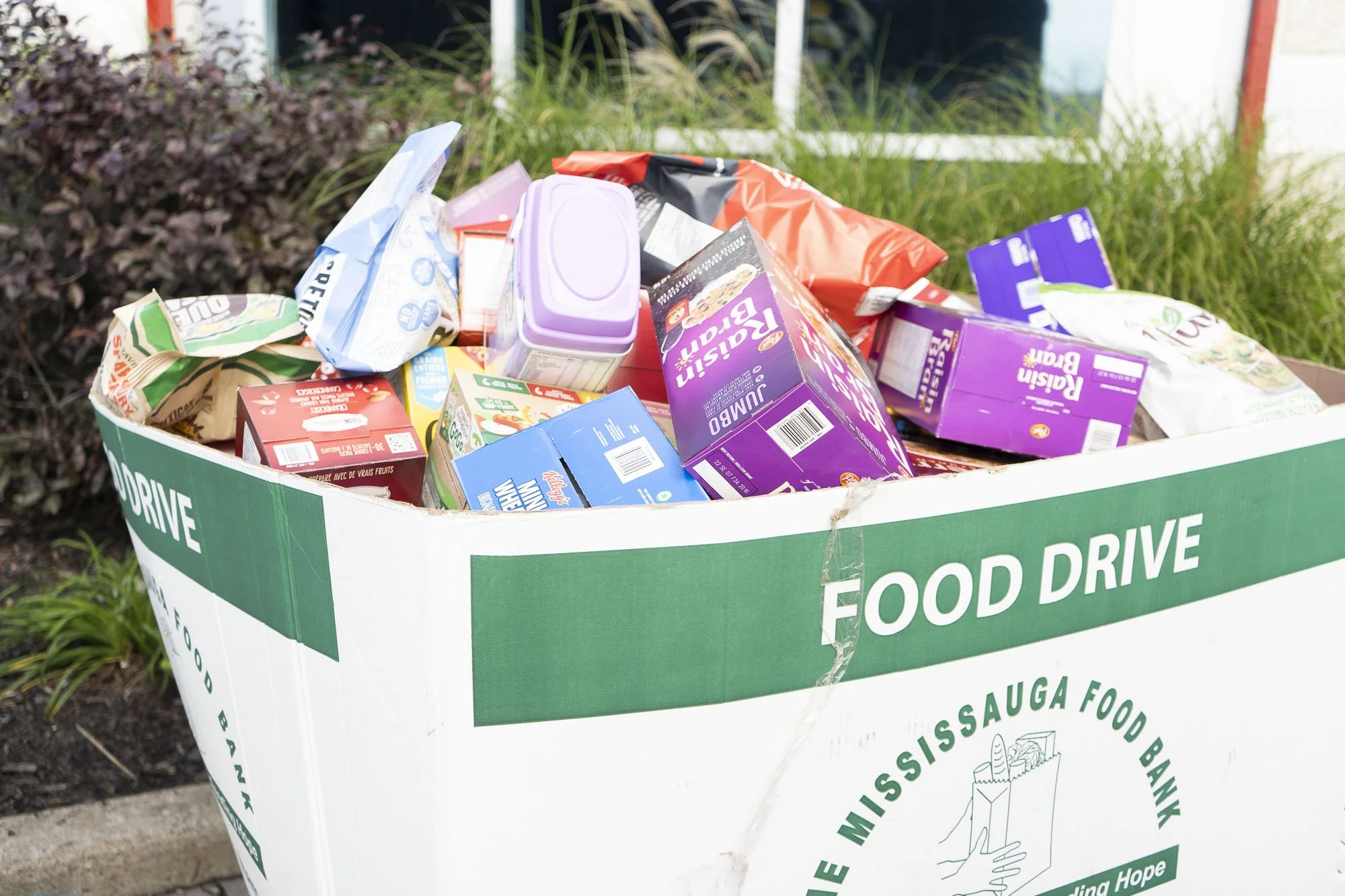 The Mississauga Food Bank launches their 2022 Thanksgiving Food Drive ...