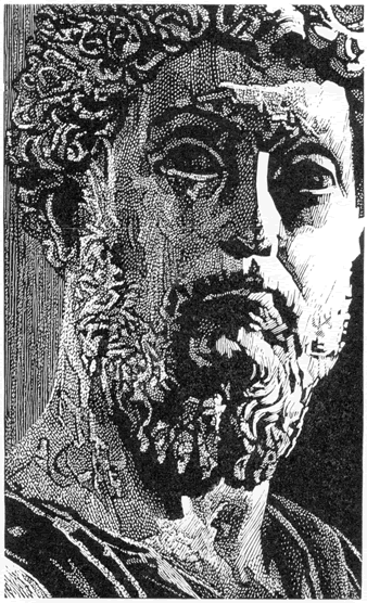 Illustrations — Simon Brett