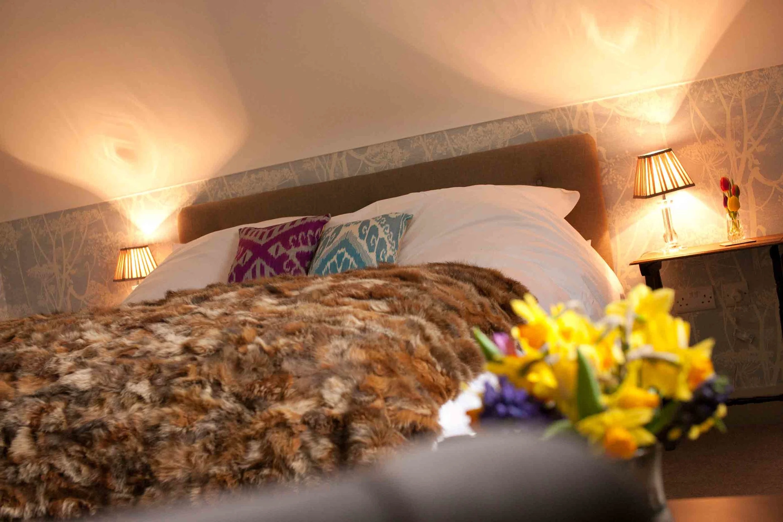 News and Offers! — Colebrooke Cottages