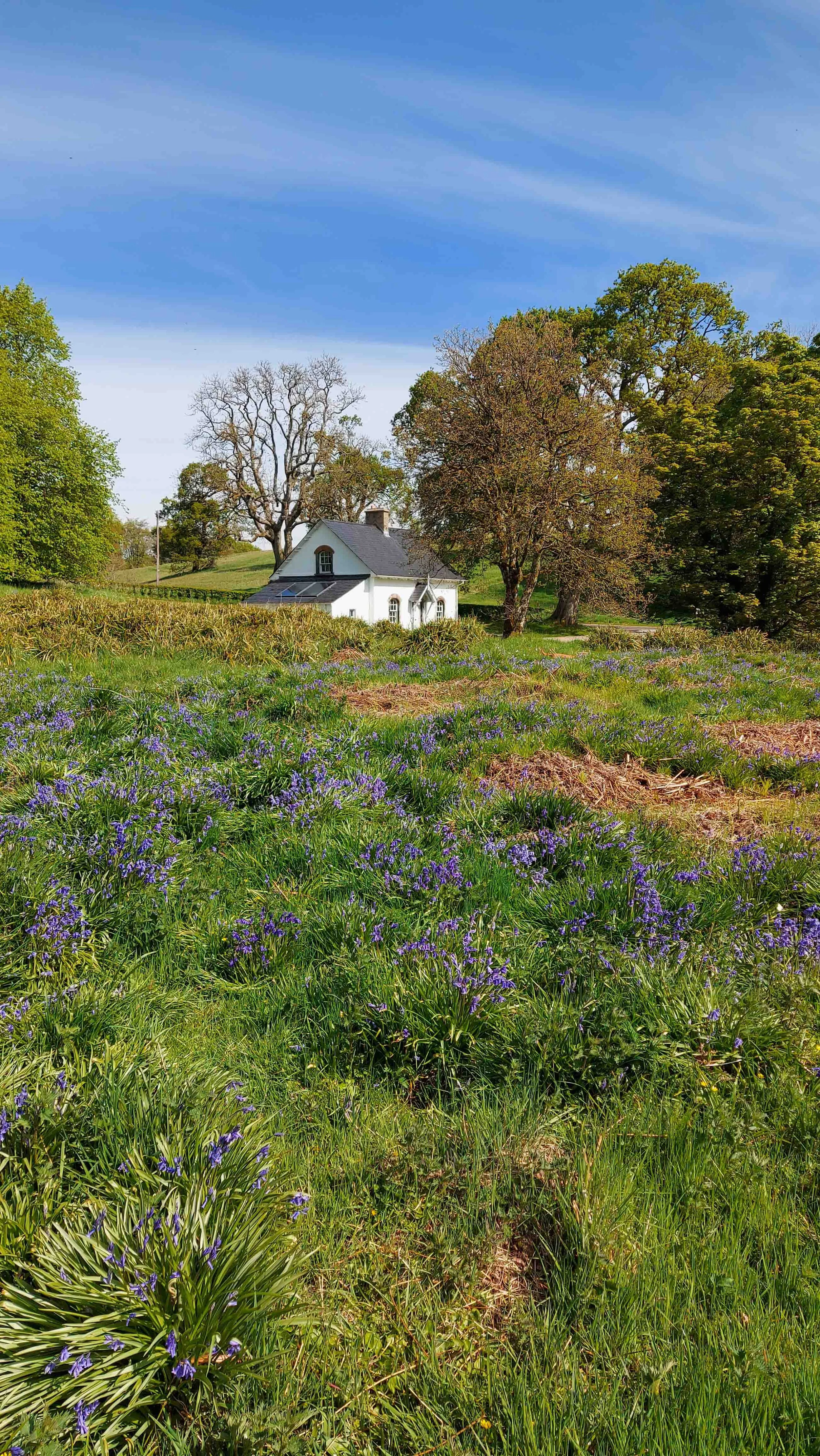 Colebrooke Cottages