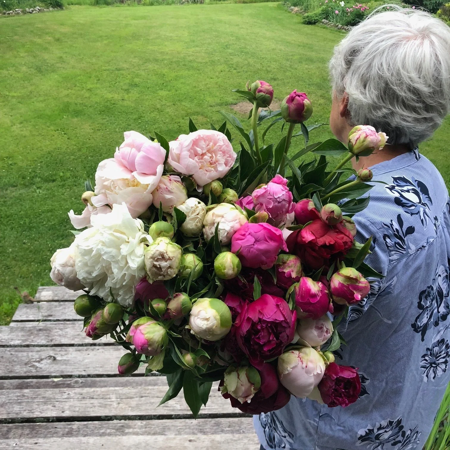 Toronto Flower Market