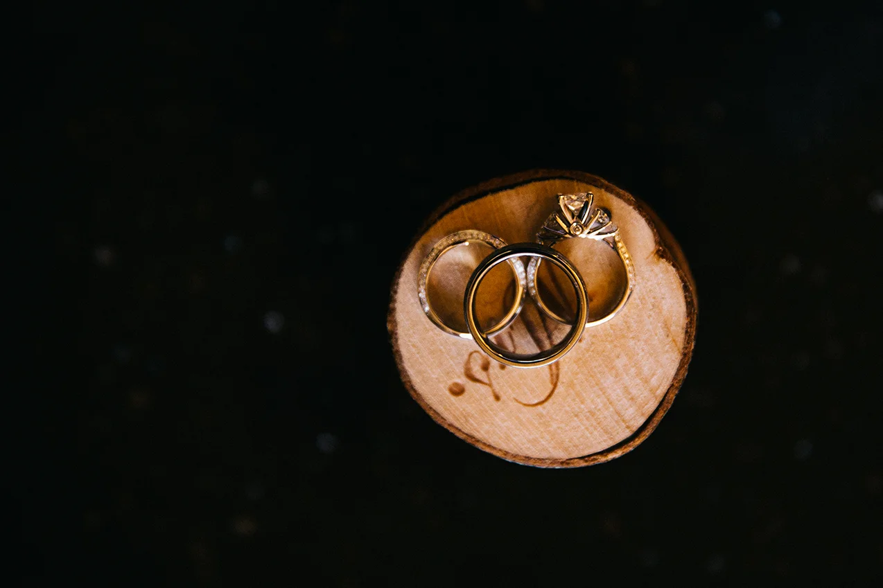 Mocan Wedding — Bri Santoro Photography