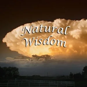 Natural Wisdom - A Spiritual Story — The Holistic Soul Healer