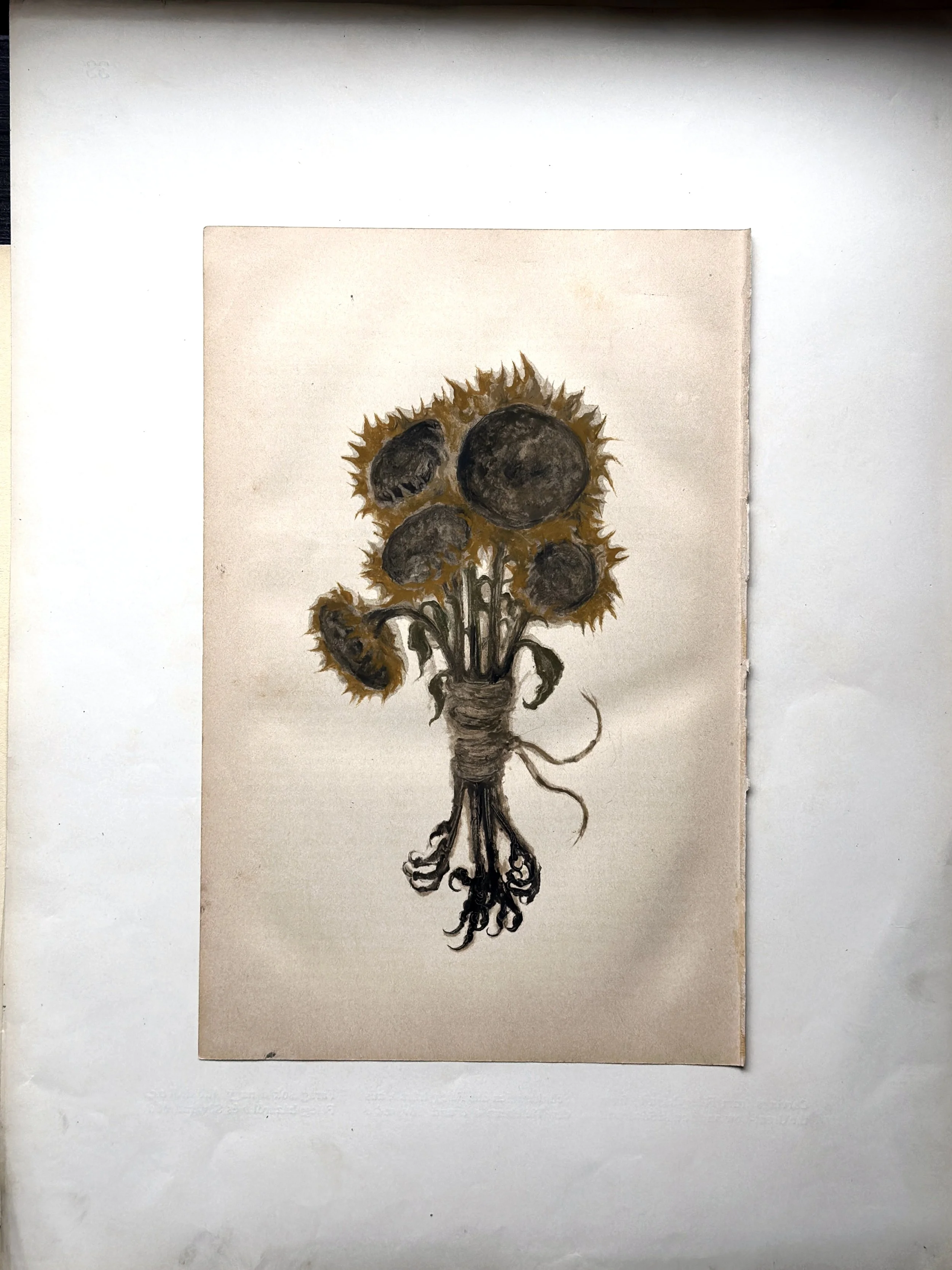 Shop — Laura Benson