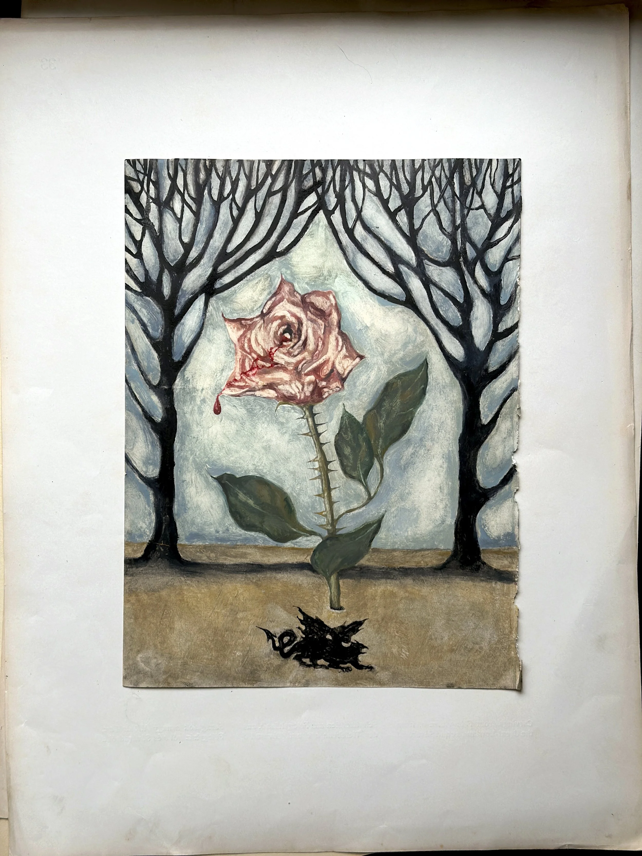 Shop — Laura Benson