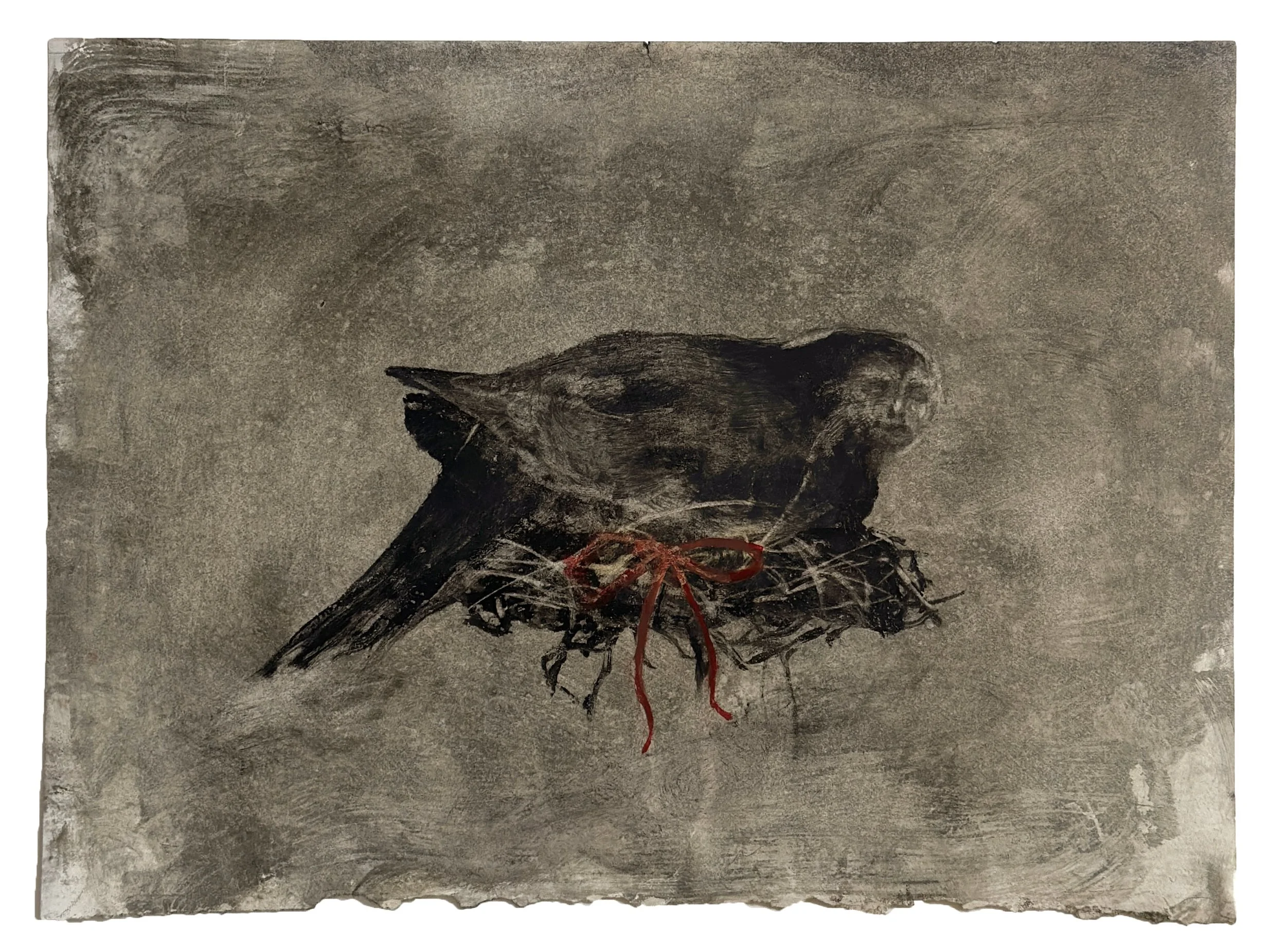 Shop — Laura Benson