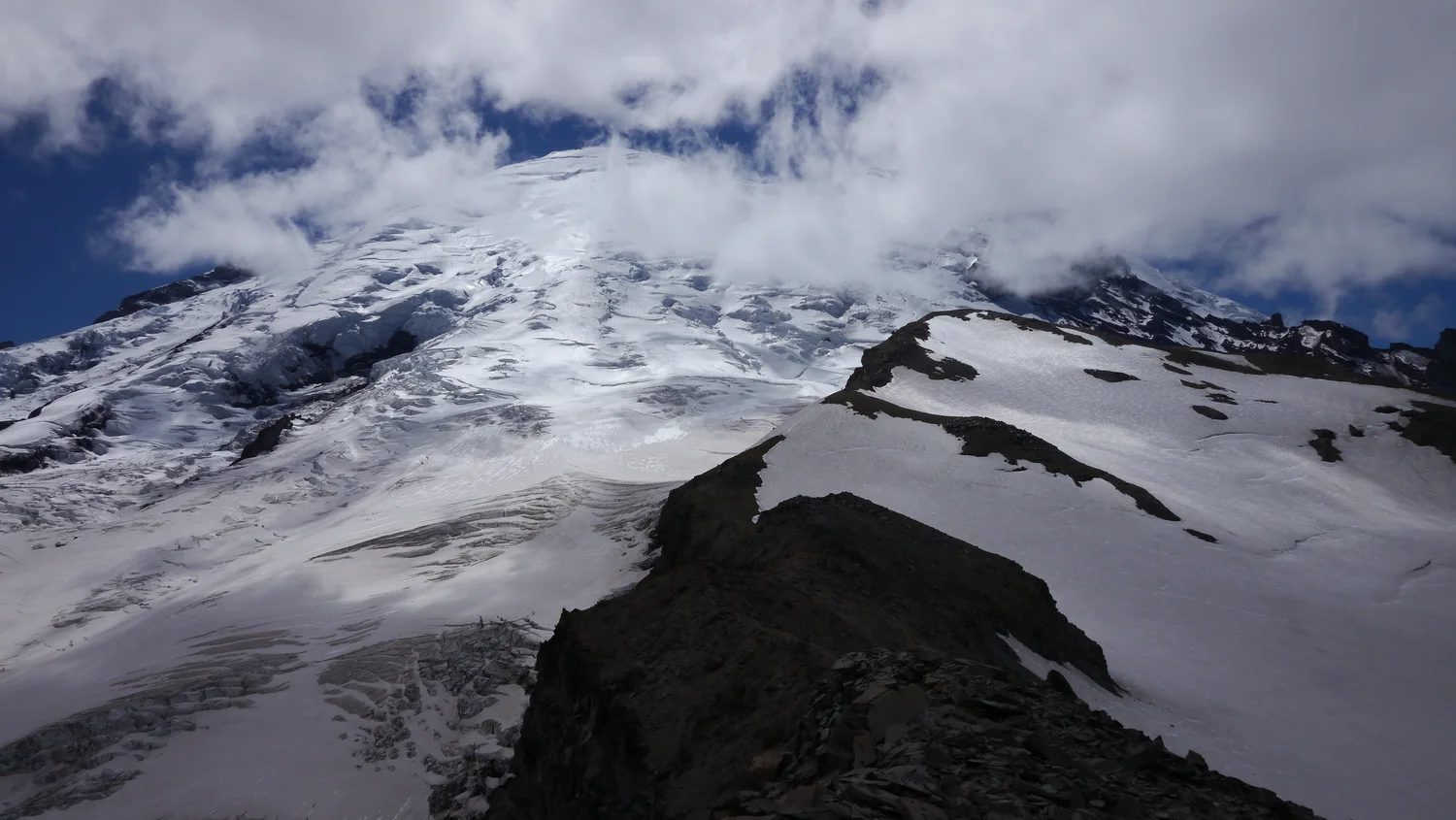 Mt Rainier 7Up Hikes — Willis Wall