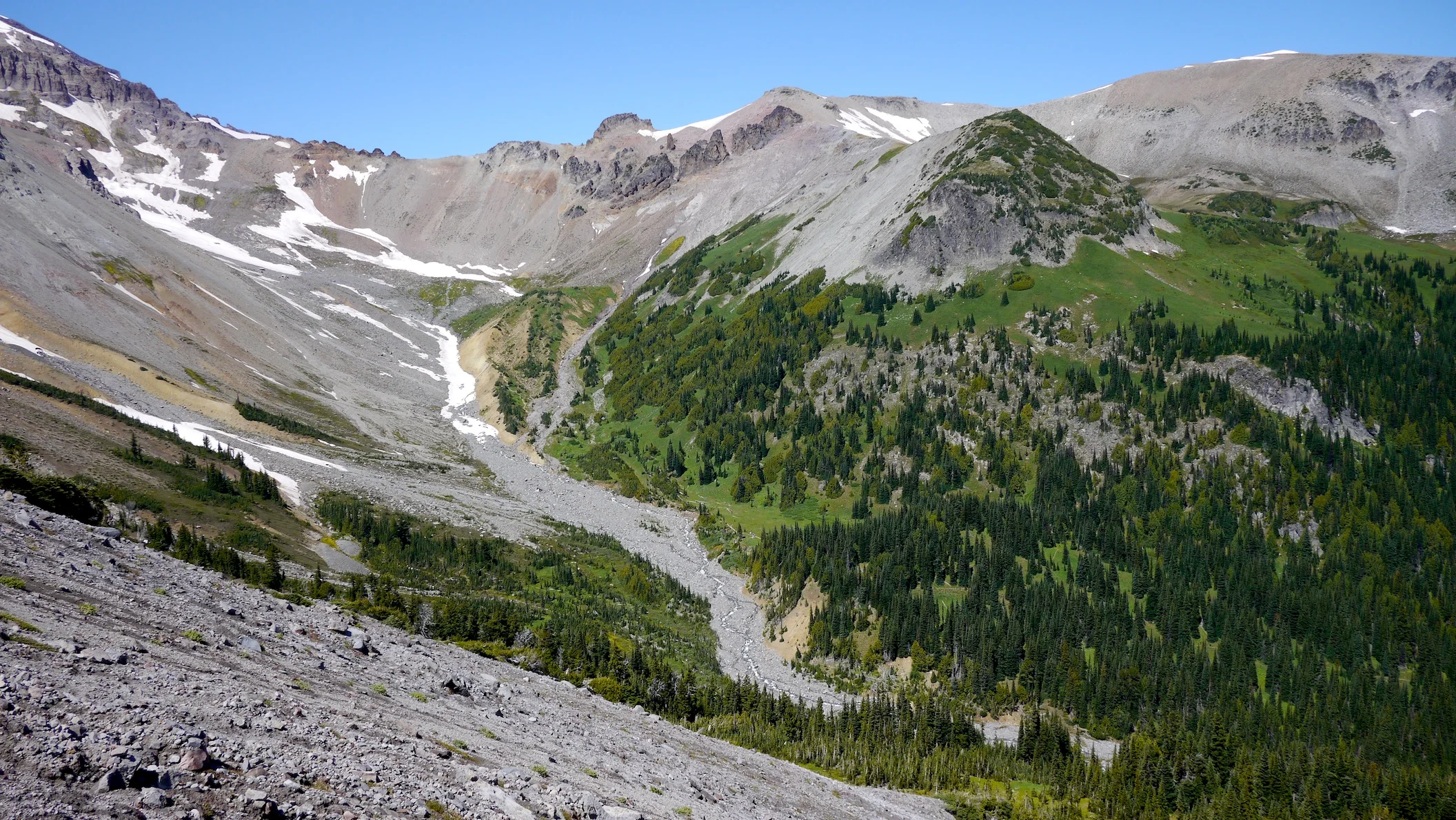 Mt Rainier 7Up Hikes — Willis Wall