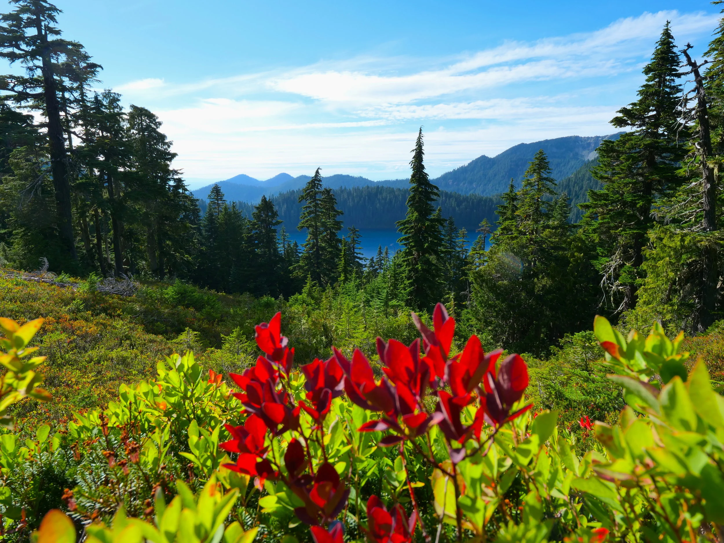 Hessong Rock/Mt Pleasant Loop — Willis Wall