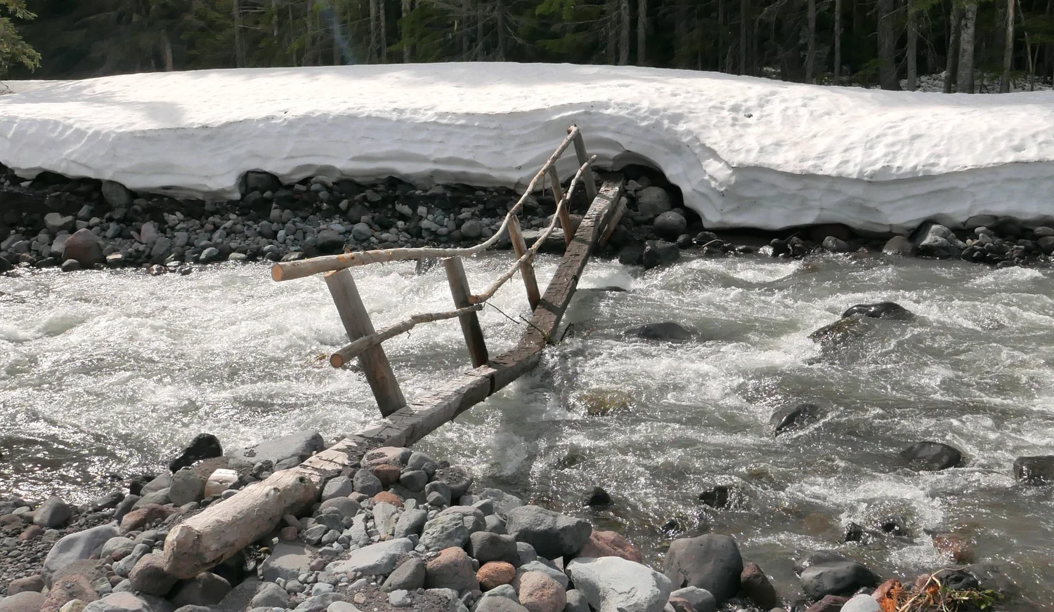Willis Wall's Views on the Wonderland Trail — Willis Wall