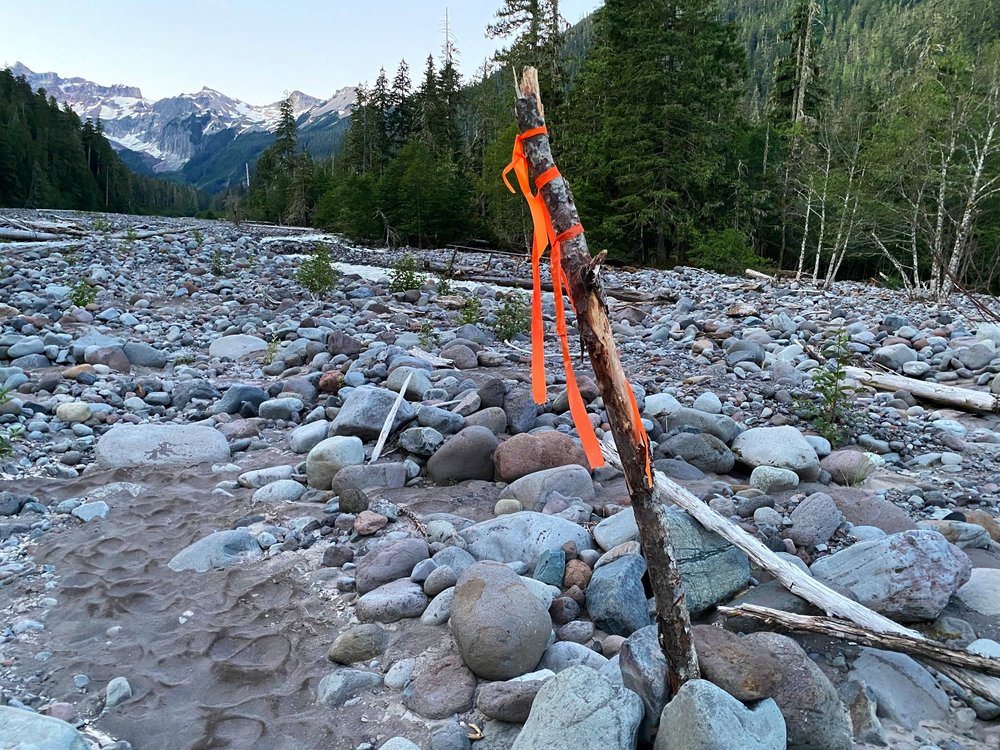 Willis Wall's Views on the Wonderland Trail — Willis Wall