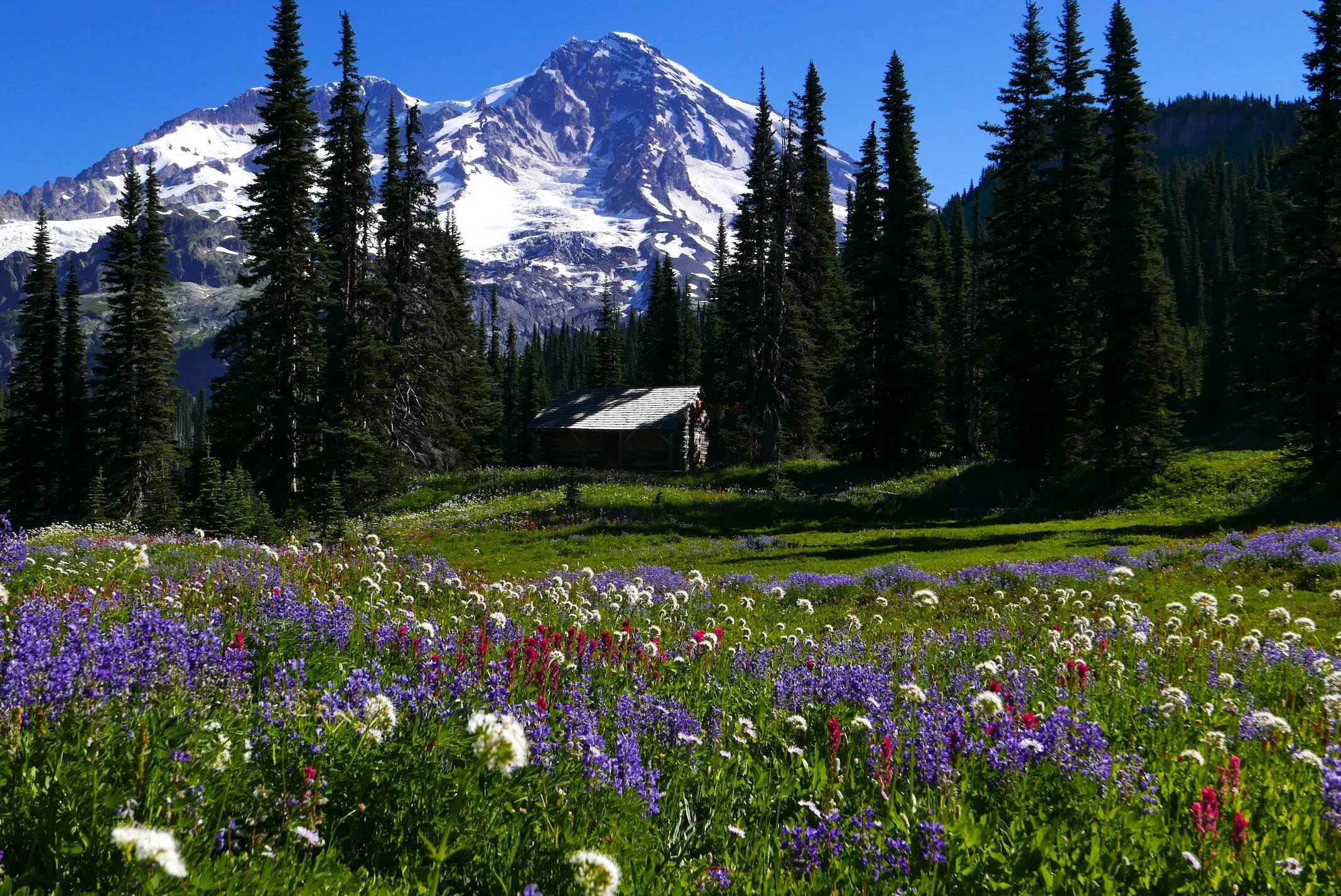 Willis Wall's Views on the Wonderland Trail — Willis Wall