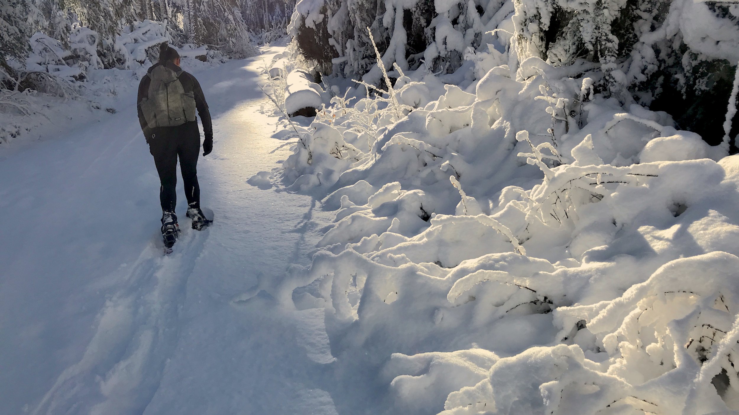 Willis Wall's Views on the Wonderland Trail — Willis Wall