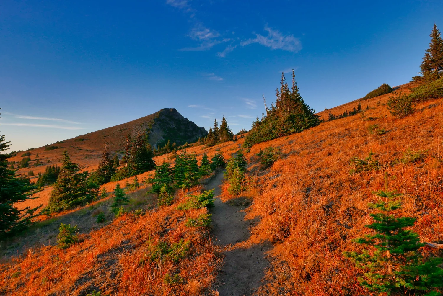 Alpenglow — Willis Wall
