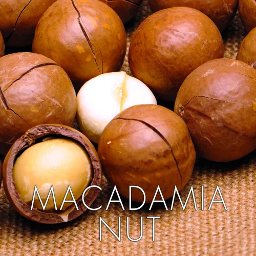 ORGANIC FOOD — KMEC