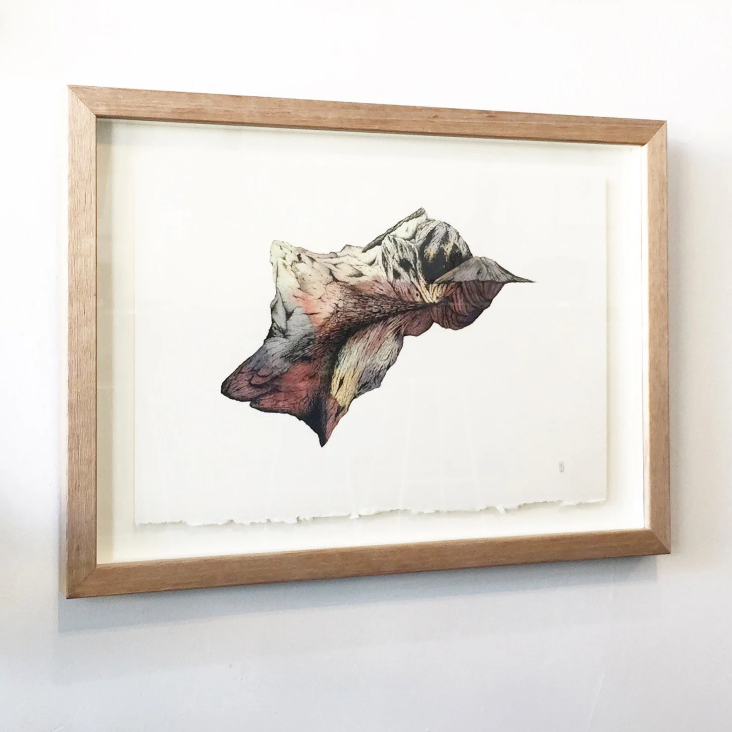 FINE ART — KIRRILY ANDERSON