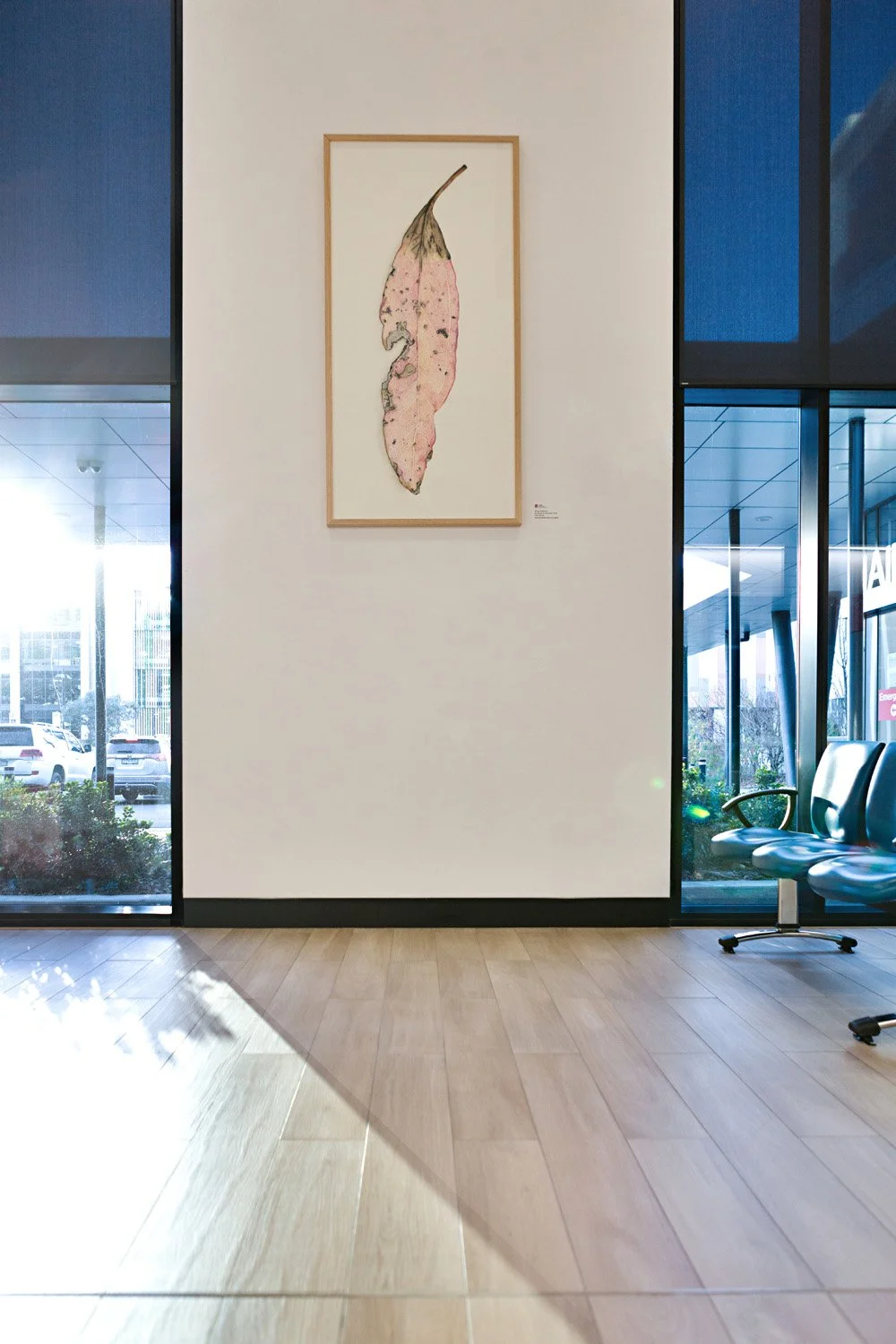 Love Letters to the 'Bidgee — KIRRILY ANDERSON