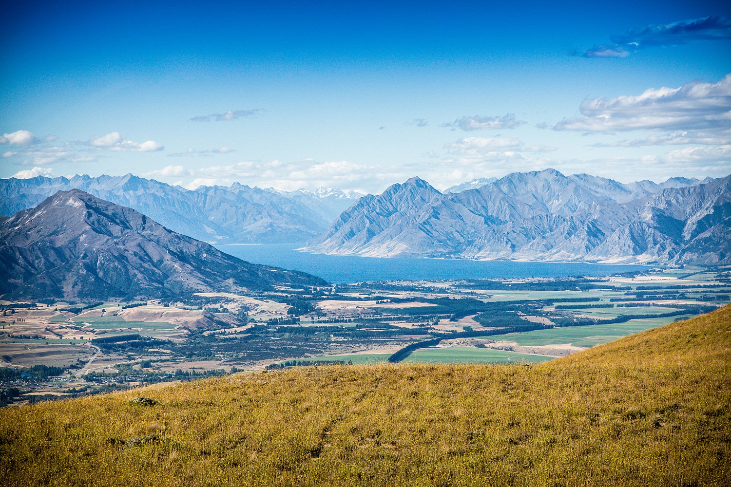 Janelle and Ty's Criffel Station Woolshed Summer Wedding — Fluidphoto ...
