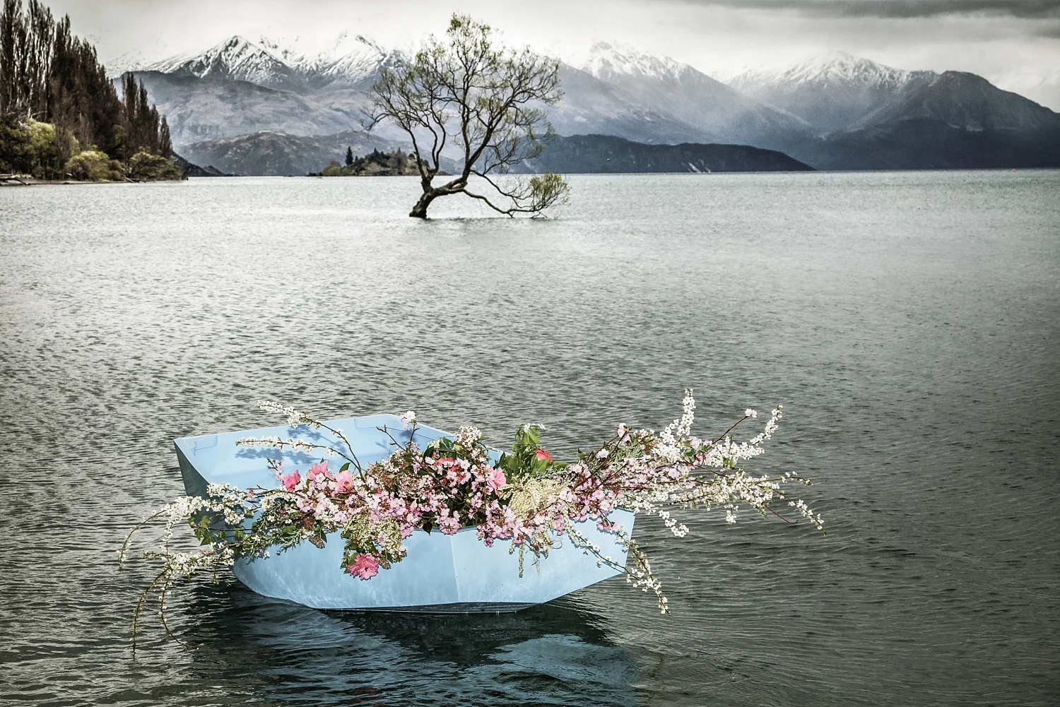 'That Wanaka Tree' - A styled photo shoot — Fluidphoto Ruth Brown