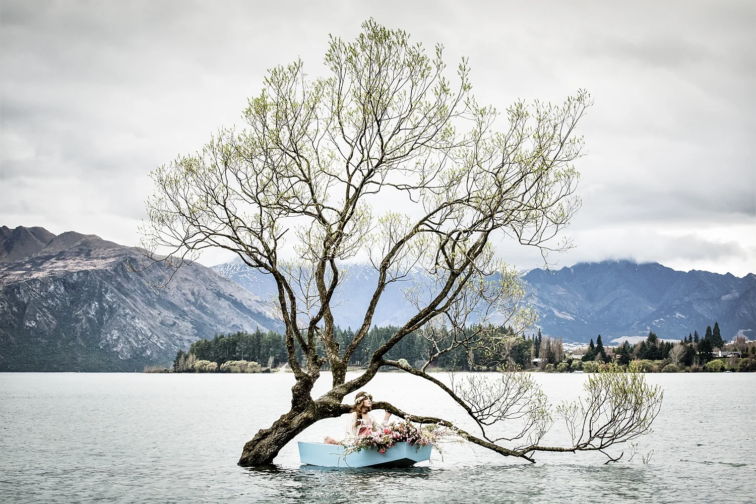 'That Wanaka Tree' - A styled photo shoot — Fluidphoto Ruth Brown
