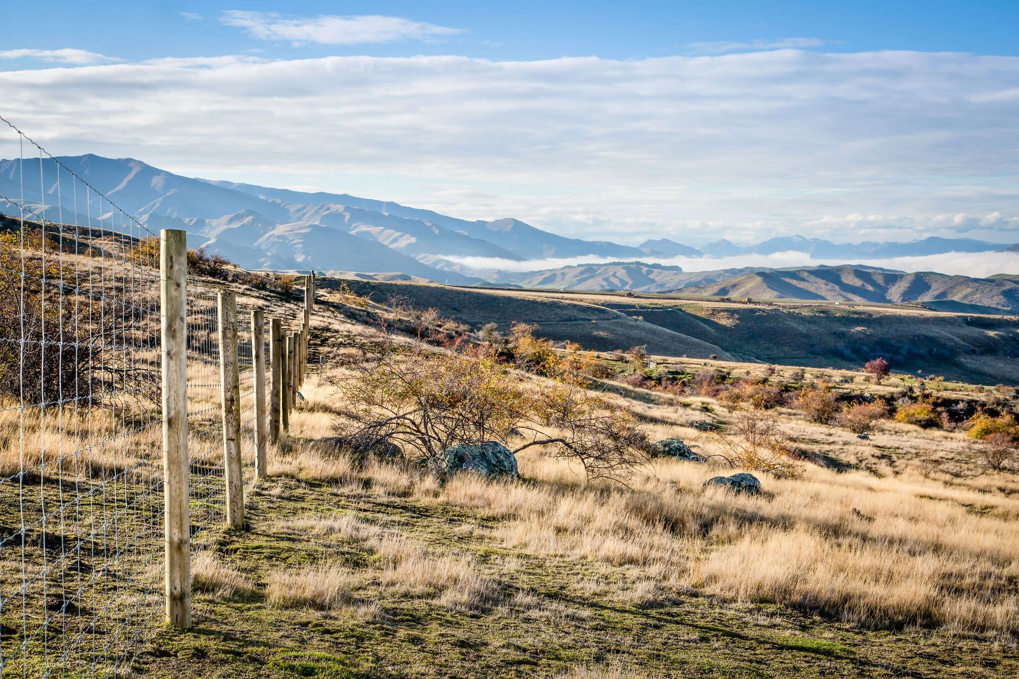 Alpine Fencing | Product Photography — Fluidphoto Ruth Brown
