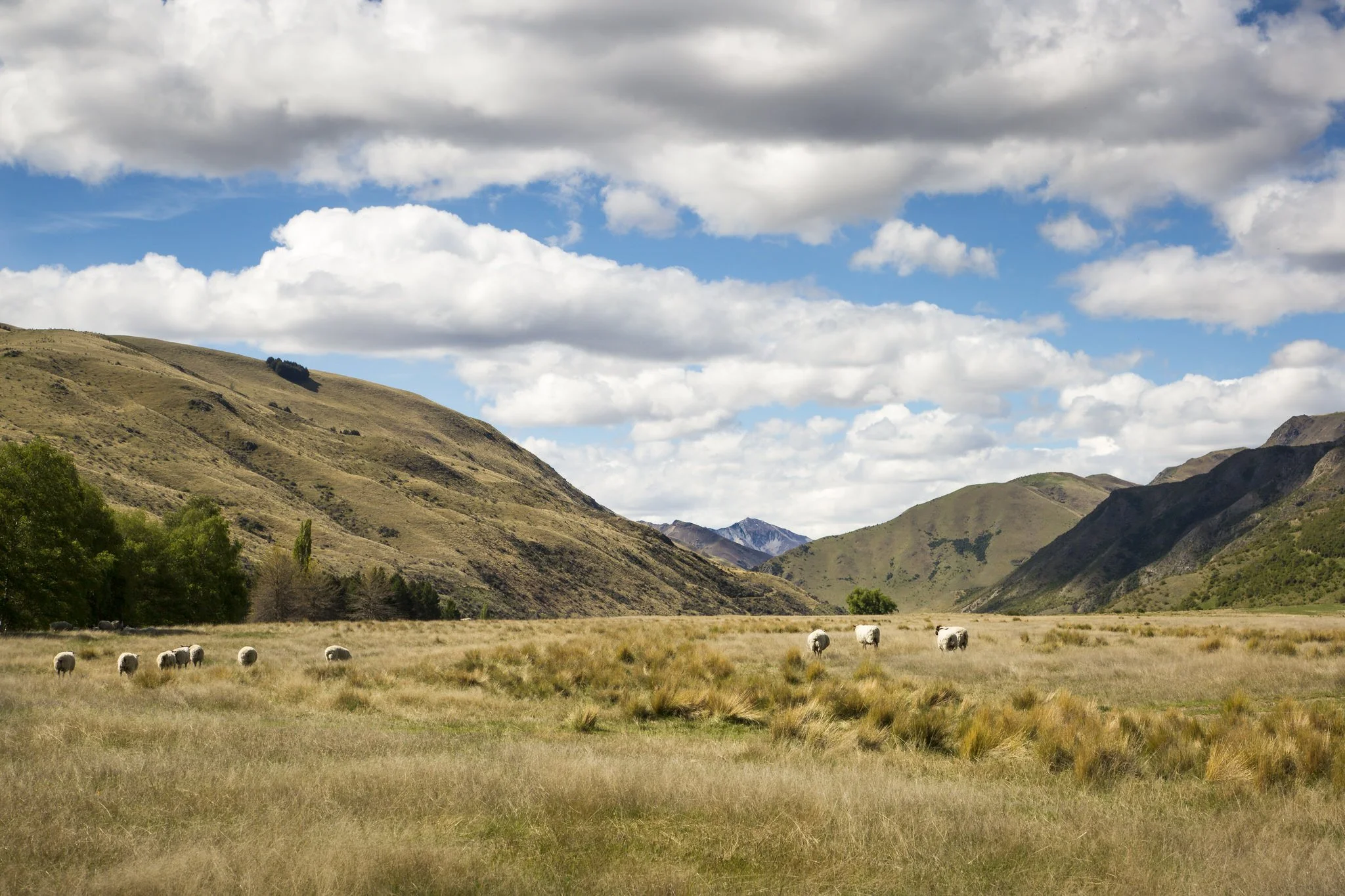 Morven Hills Station | Lifestyle Photography — Fluidphoto Ruth Brown