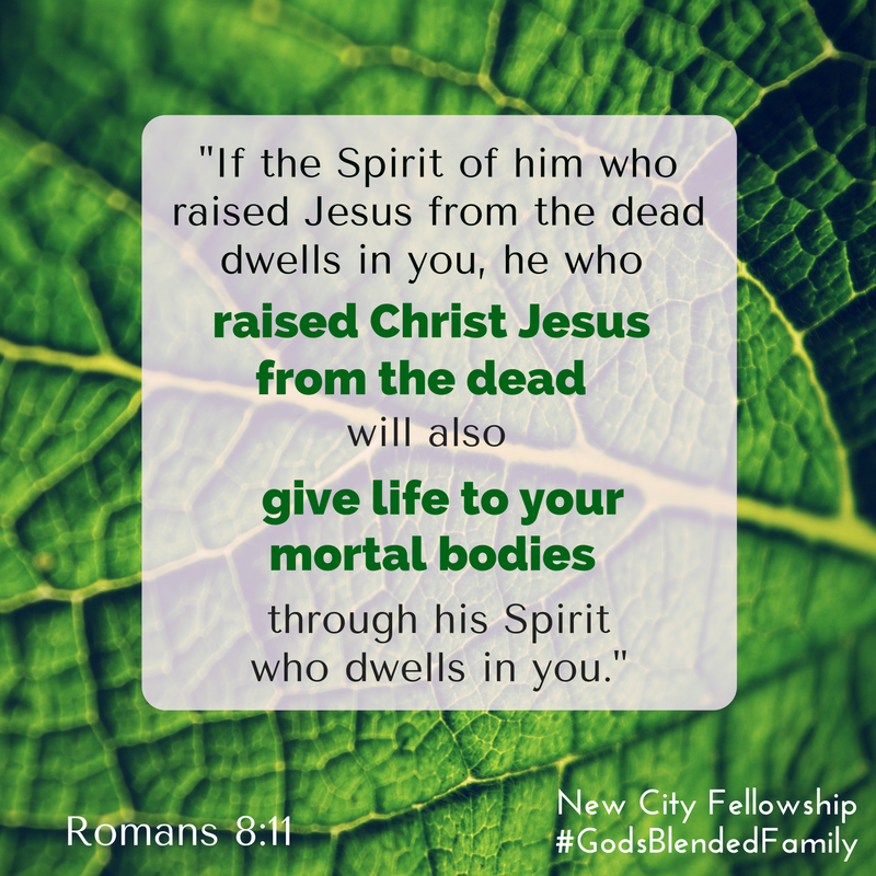 Romans 8 11 POWER Blog New City Fellowship Church Romans 8 11 POWER Blog New City Fellowship Church