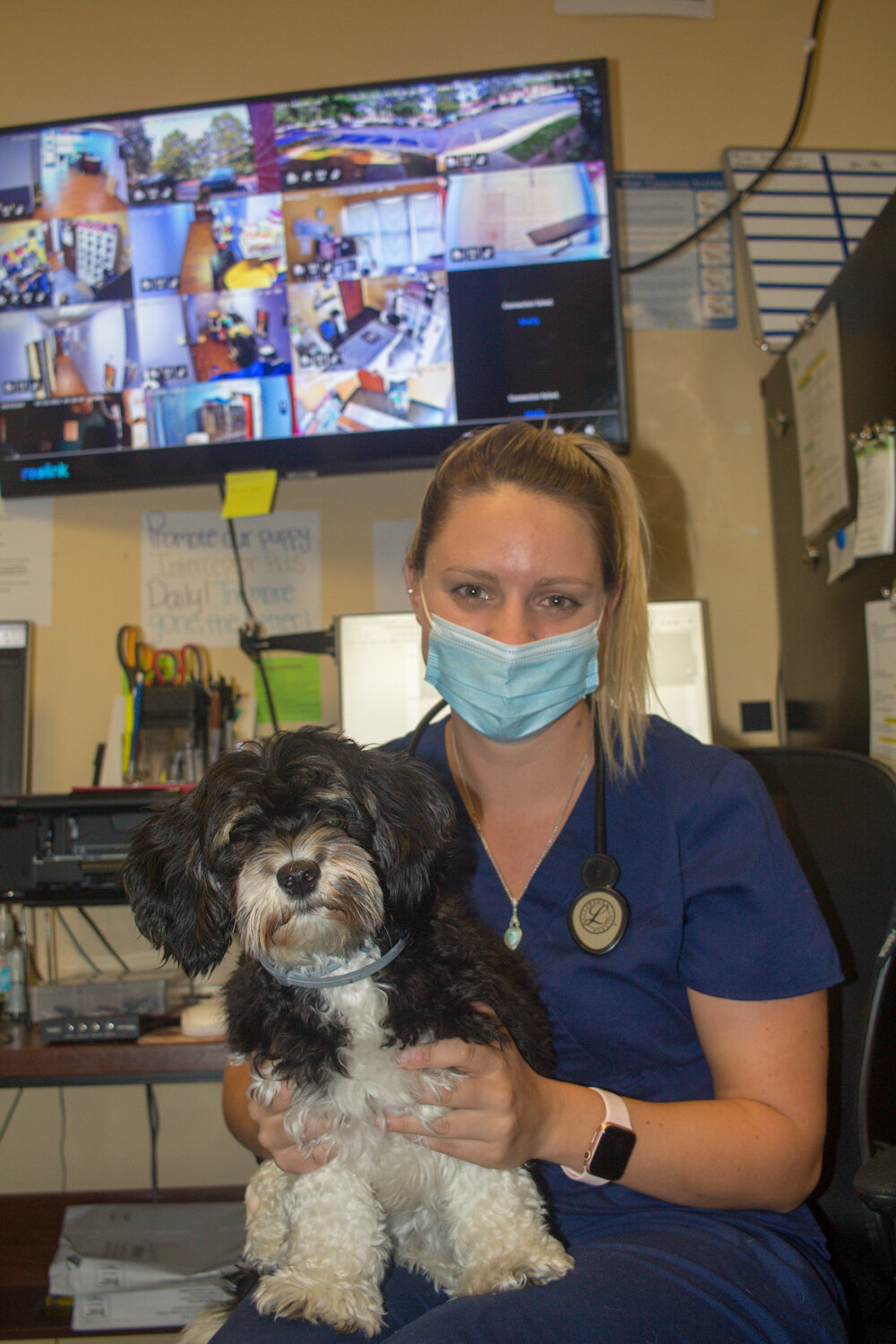 How Much Does A Petsmart Groomer Trainee Make Darin Cummings how-much-does-a-petsmart-groomer-trainee-make-darin-cummings