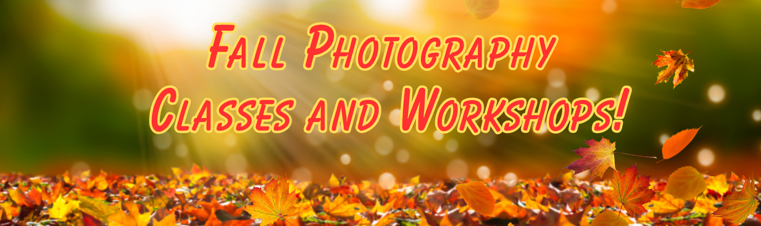 Photography Workshop - Classes, Workshops and Summer Camps
